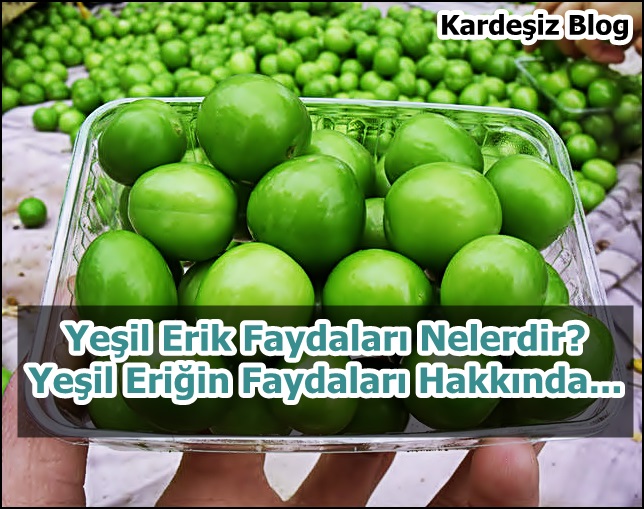 Yeşil Erik Faydaları Nelerdir? Yeşil Eriğin Faydaları Hakkında...