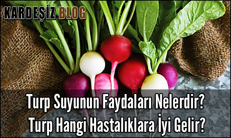 Turp Suyunun Faydaları Nelerdir? Turp Hangi Hastalıklara İyi Gelir?