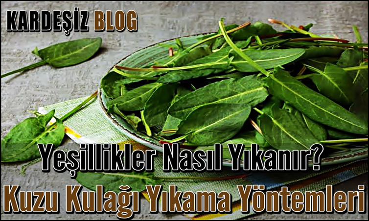 Yeşillikler Nasıl Yıkanır? Kuzu Kulağı Yıkama Yöntemleri