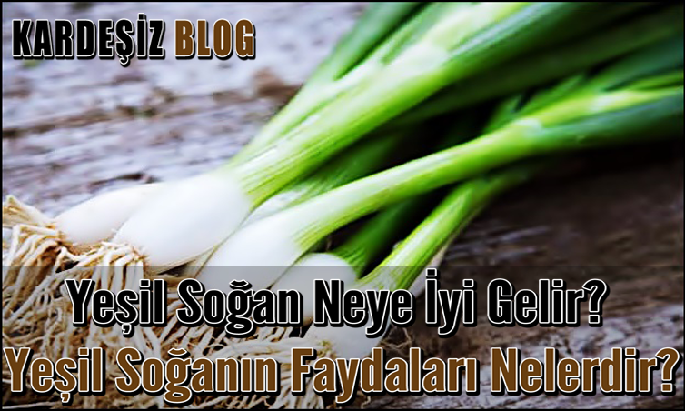 Yeşil Soğan Neye İyi Gelir? Yeşil Soğanın Faydaları Nelerdir?