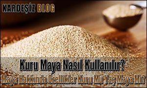 Kuru Maya Nasıl Kullanılır? Maya Hakkında Özellikler