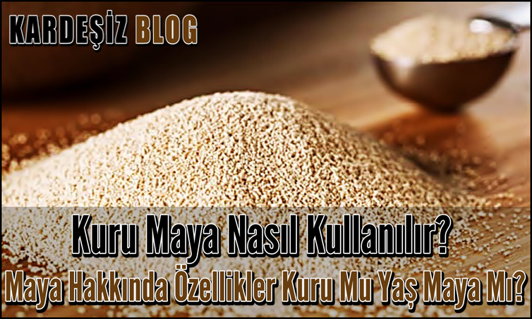 Kuru Maya Nasıl Kullanılır? Maya Hakkında Özellikler