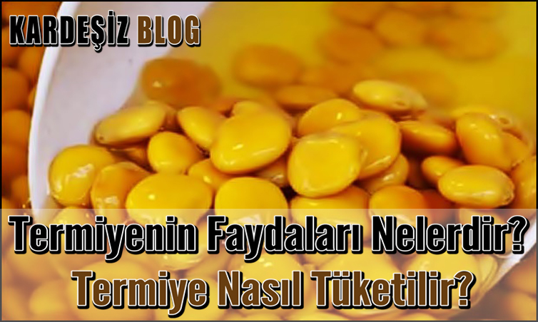 Termiyenin Faydaları Nelerdir? Termiye Nasıl Tüketilir?