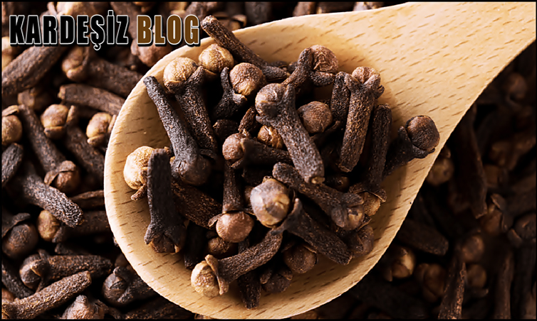 Karanfil Hangi Hastalığa İyi Gelir? Kafanfilin Faydaları Nelerdir?