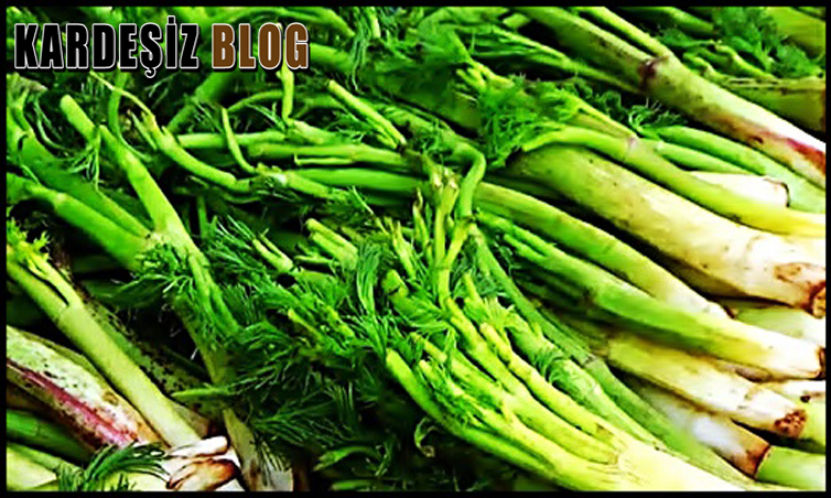 Işgın Otu Ne Kadar Süre Dayanır? Işgan Otu Nasıl Dondurulur?