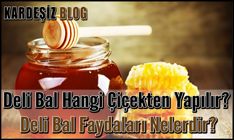 Deli Bal Hangi Çiçekten Yapılır? Deli Bal Faydaları Nelerdir?