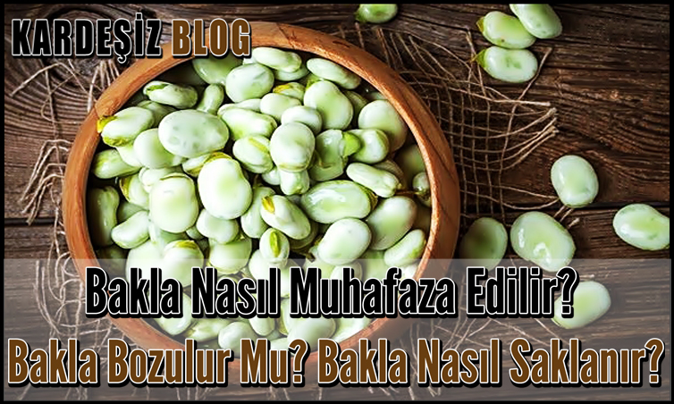 Bakla Nasıl Muhafaza Edilir? Bakla Bozulur Mu? Bakla Nasıl Saklanır?