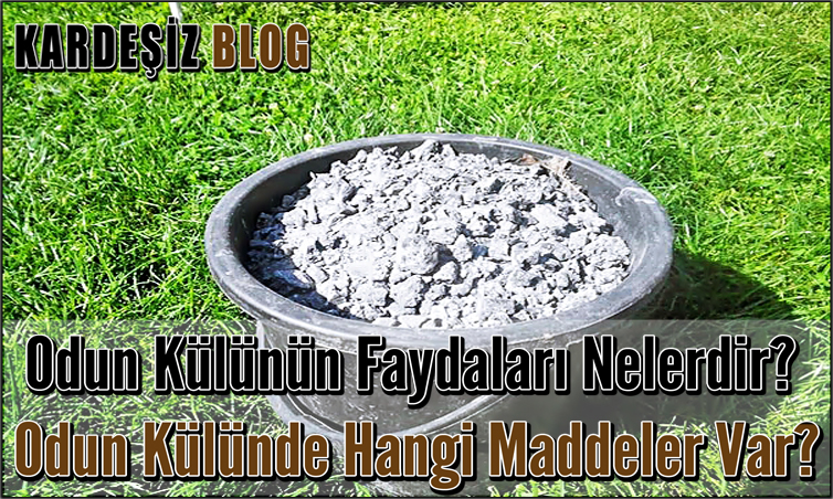 Odun Külünün Faydaları Nelerdir? Odun Külünde Hangi Maddeler Var?