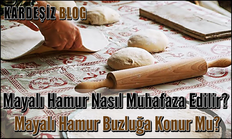 Mayalı Hamur Nasıl Muhafaza Edilir? Mayalı Hamur Buzluğa Konur Mu?