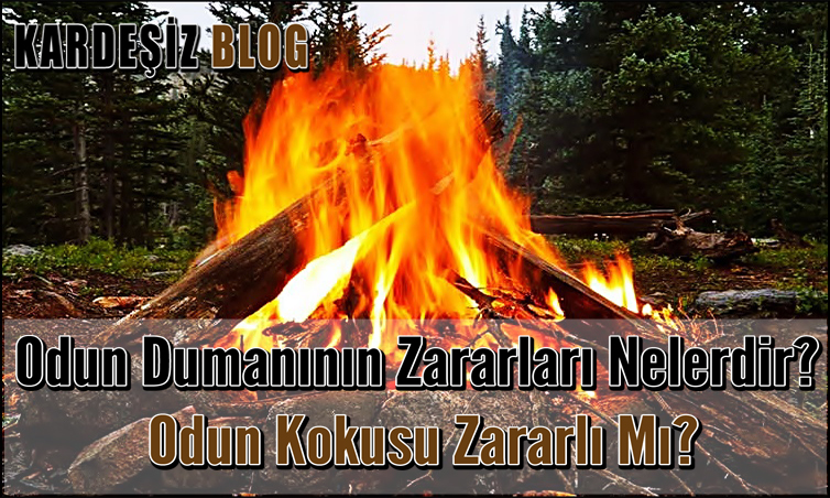 Odun Dumanının Zararları Nelerdir? Odun Kokusu Zararlı Mı?
