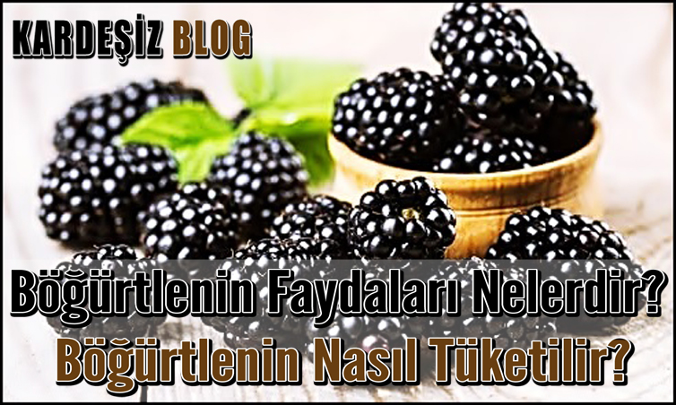 Böğürtlenin Faydaları Nelerdir? Böğürtlenin Nasıl Tüketilir?