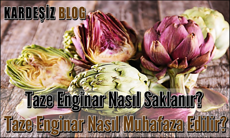 Taze Enginar Nasıl Saklanır? Taze Enginar Nasıl Muhafaza Edilir?