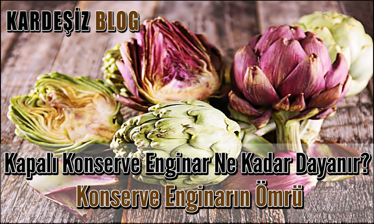 Kapalı Konserve Enginar Ne Kadar Dayanır? Konserve Enginarın Ömrü