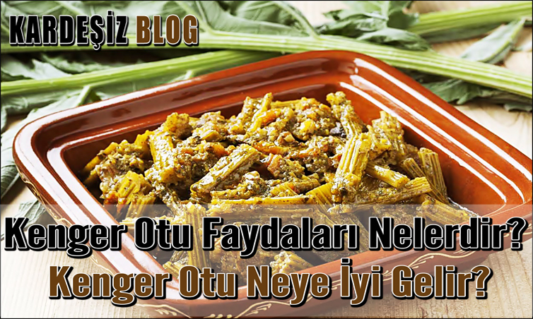Kenger Otu Faydaları Nelerdir? Kenger Otu Neye İyi Gelir?