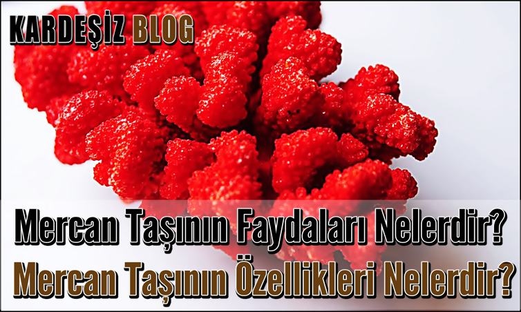 Mercan Taşının Faydaları Nelerdir? Mercan Taşının Özellikleri Nelerdir?