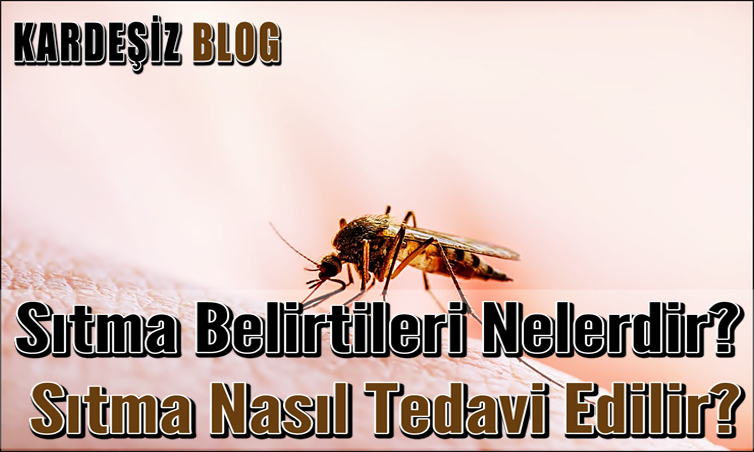 Sıtma Belirtileri Nelerdir? Sıtma Nasıl Tedavi Edilir?