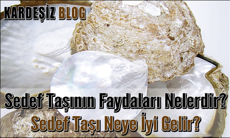 Sedef Taşının Faydaları Nelerdir? Sedef Taşı Neye İyi Gelir?