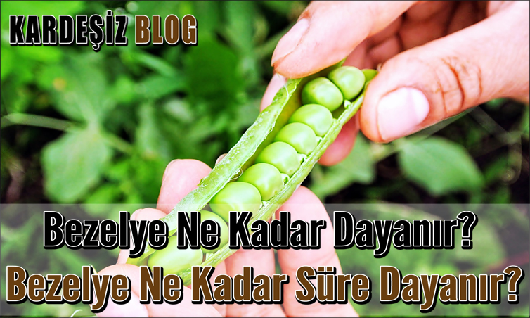 Bezelye Ne Kadar Dayanır? Bezelye Ne Kadar Süre Dayanır?