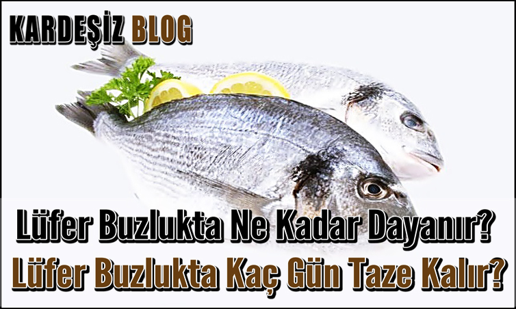 Lüfer Buzlukta Ne Kadar Dayanır? Lüfer Buzlukta Kaç Gün Taze Kalır?