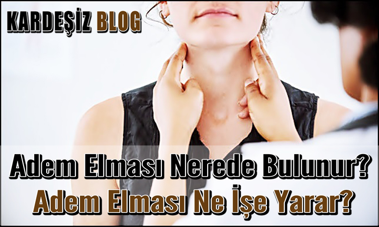 Adem Elması Nerede Bulunur? Adem Elması Ne İşe Yarar?