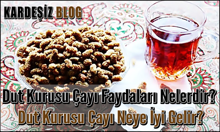 Dut Kurusu Çayı Faydaları Nelerdir? Dut Kurusu Çayı Neye İyi Gelir?