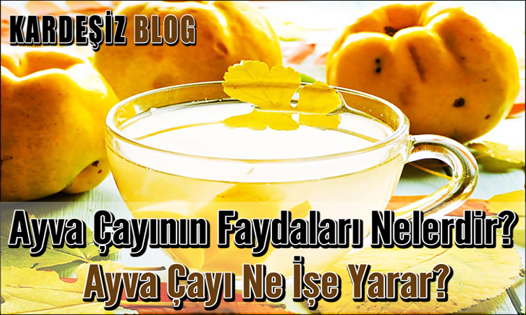 Ayva Çayının Faydaları Nelerdir? Ayva Çayı Ne İşe Yarar?