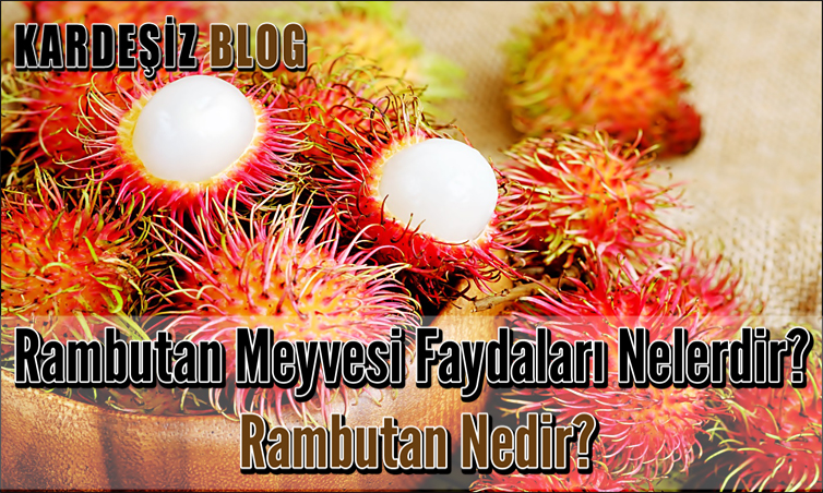 Rambutan Meyvesi Faydaları Nelerdir? Rambutan Nedir?